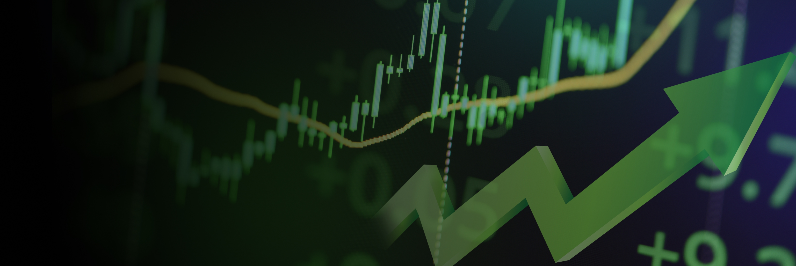 What are the order types? How do they work, and how are they utilised?